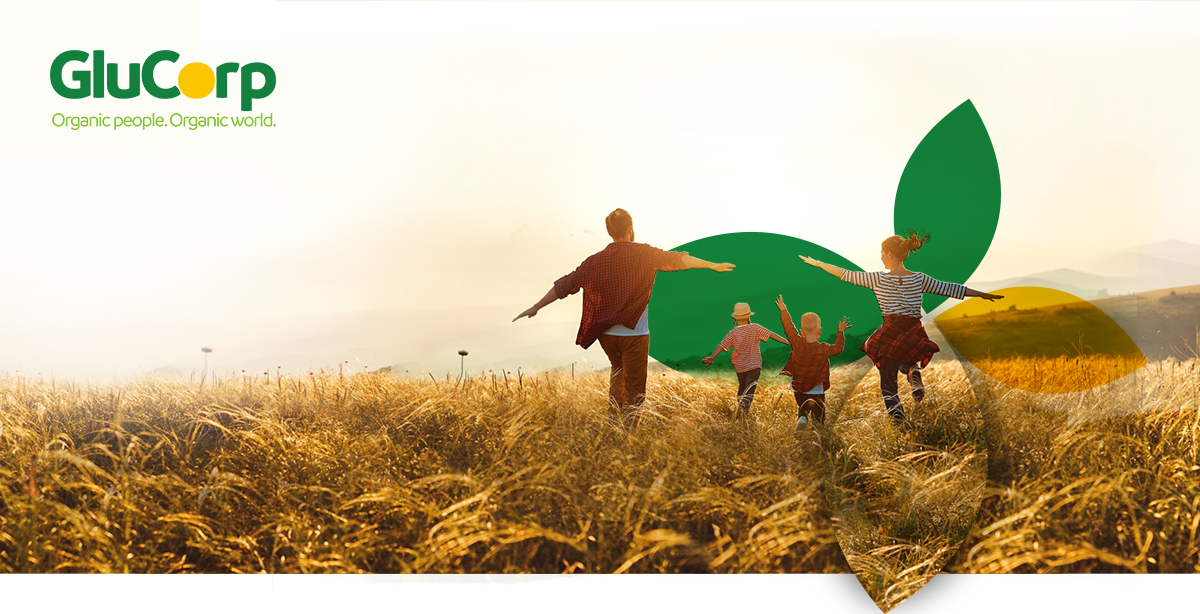 Organic Syrup Supplier in the US – Natural Food Solutions by GluCorp